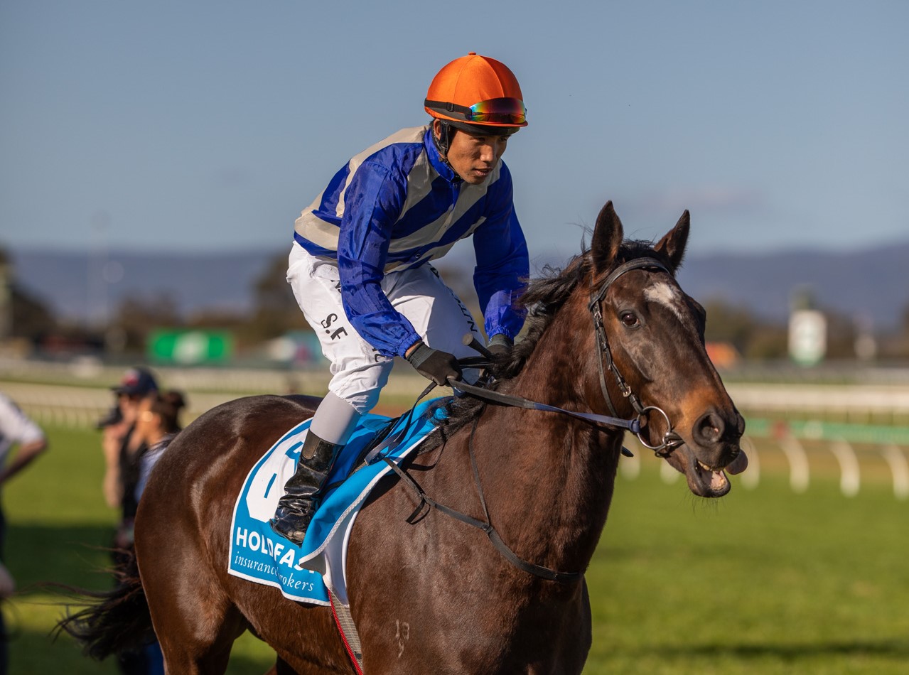 167-start veteran set for retirement | Country Racing SA