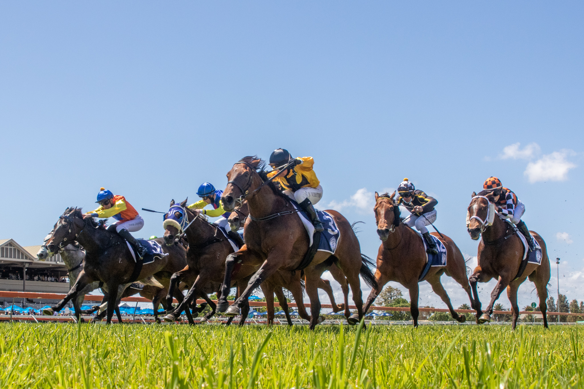 Morphettville track report and speed maps | Country Racing SA