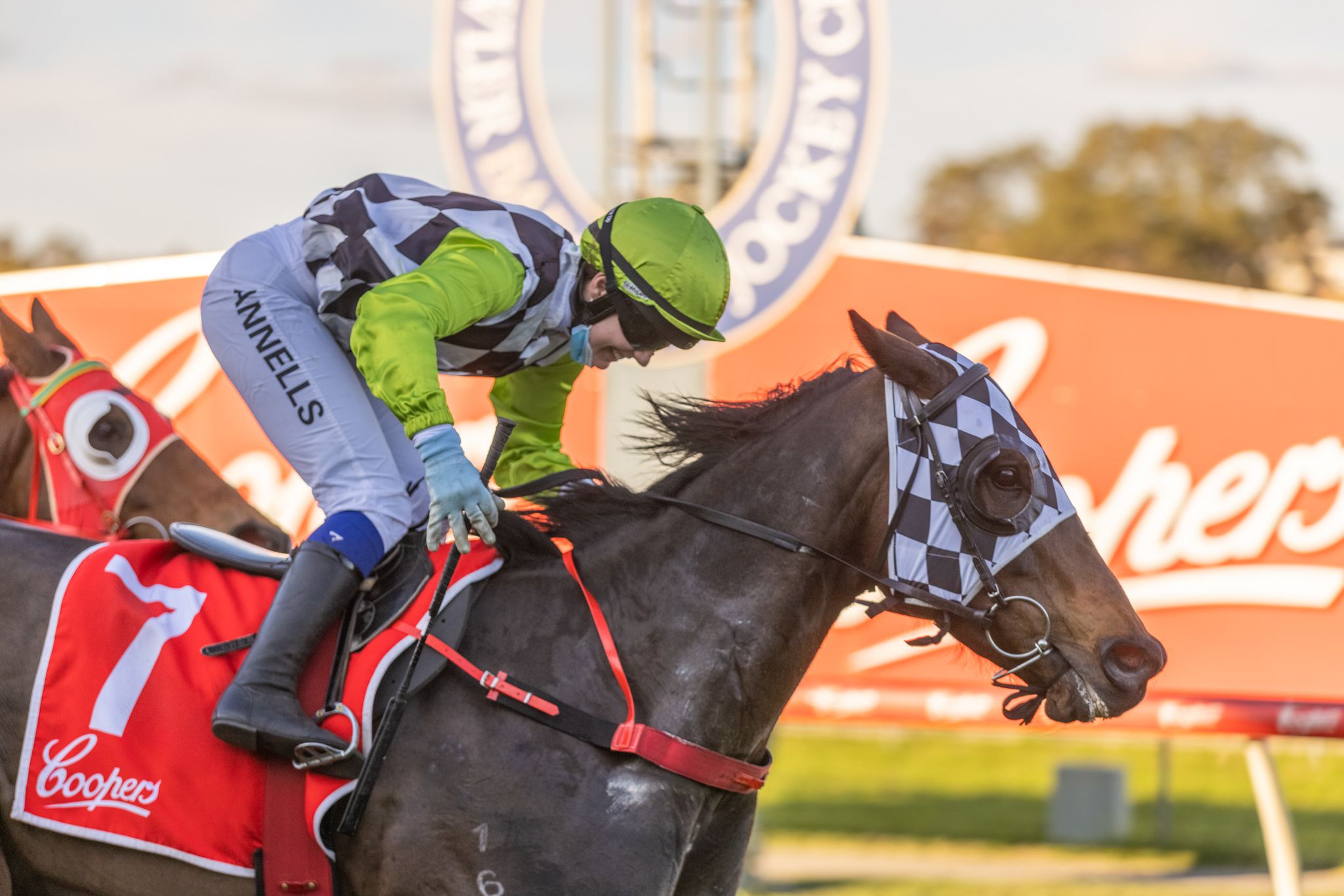 Annells continues rise with metro ticket | Country Racing SA