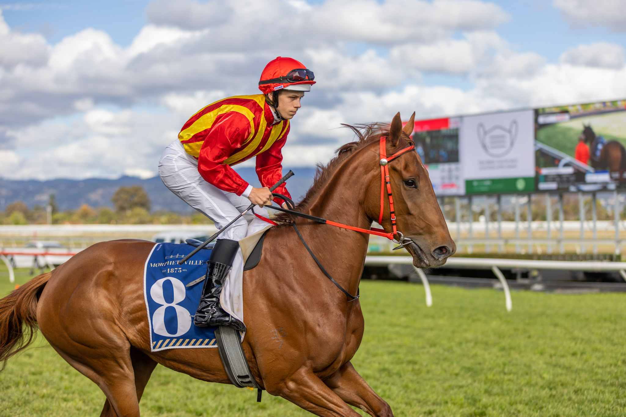 Lincoln Moore's Penola Selections | Country Racing SA