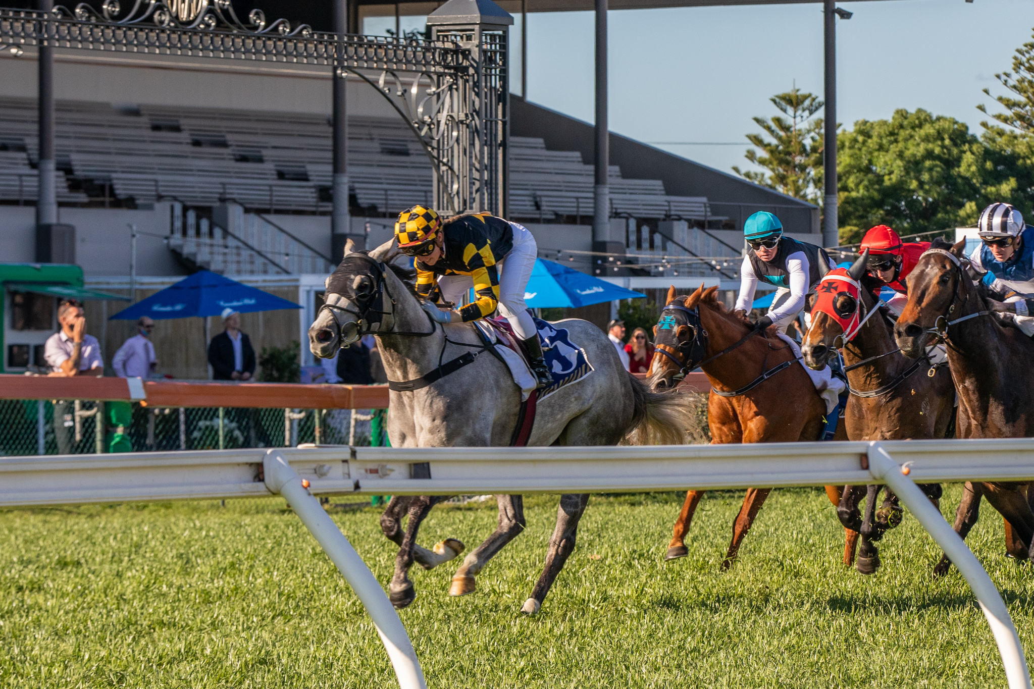 Jolly set to keep Reign in SA | Country Racing SA