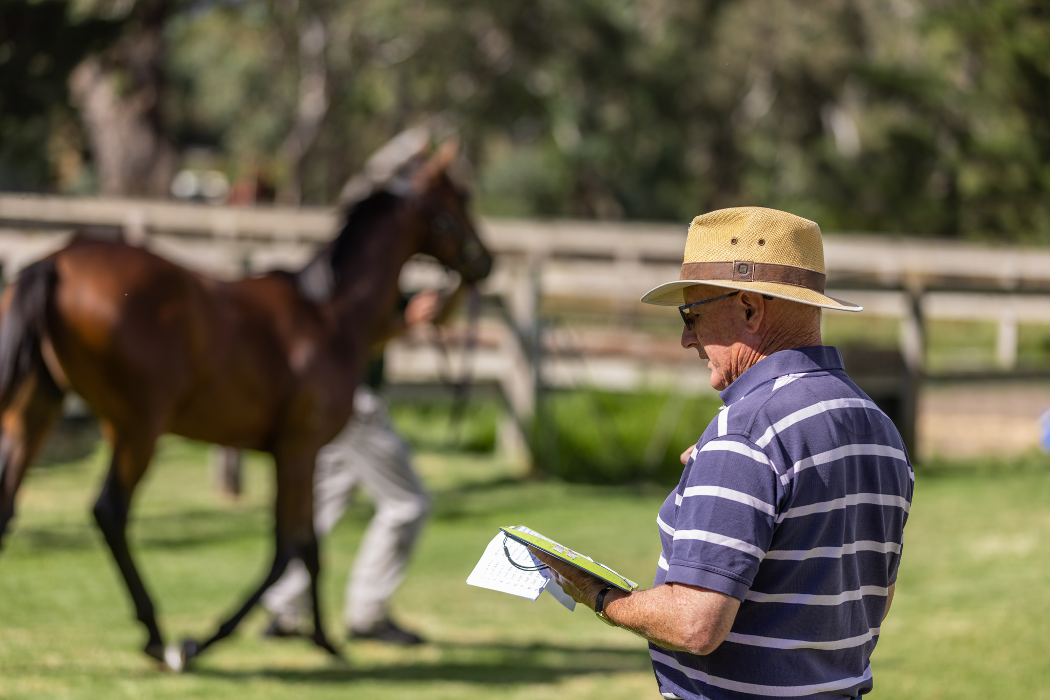 A conversation with: Adrian Hancock | Country Racing SA