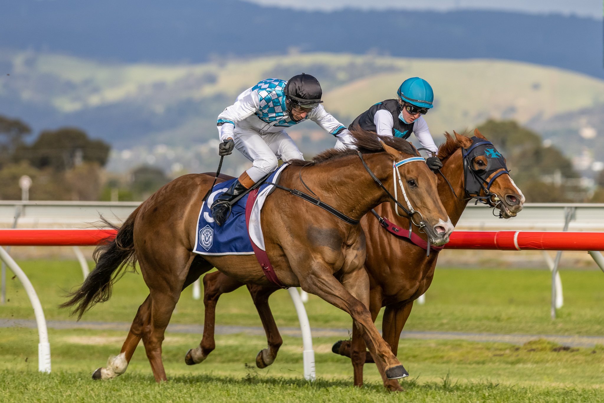 Jolly quartet ready for SA Sprint Series Final | Country Racing SA