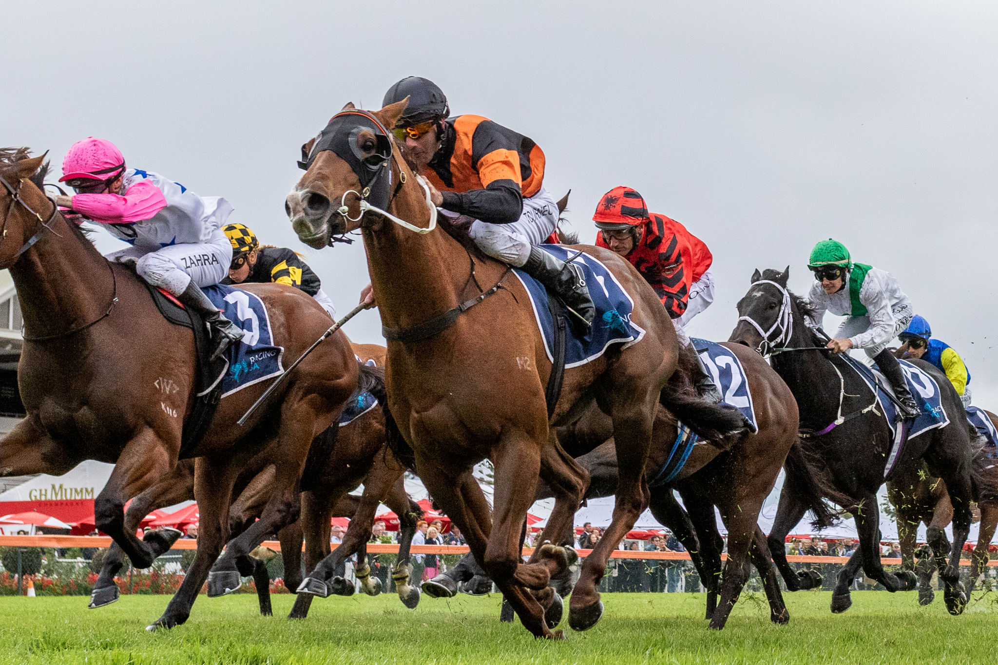 SA Derby Day Track Report + Speed Maps | Country Racing SA