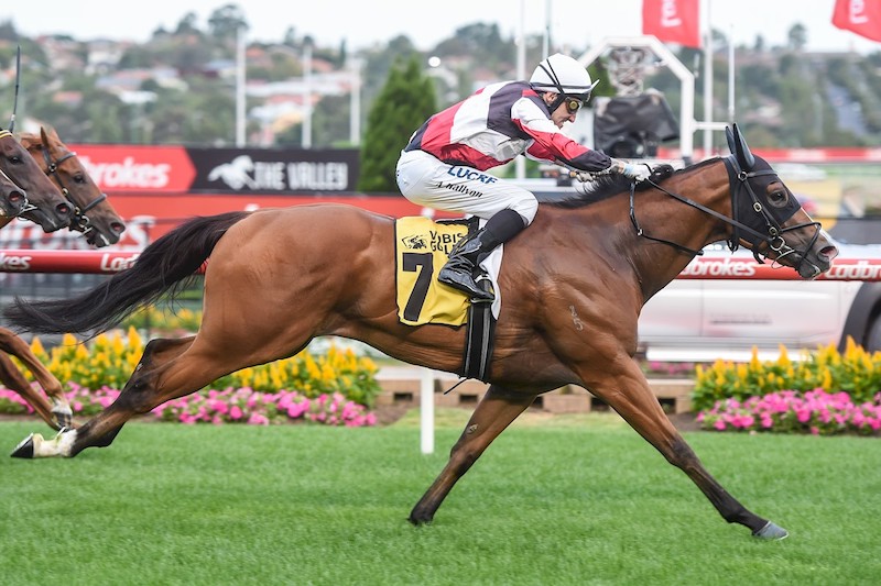 Mallyon to honour the late Rod Griffiths | Country Racing SA