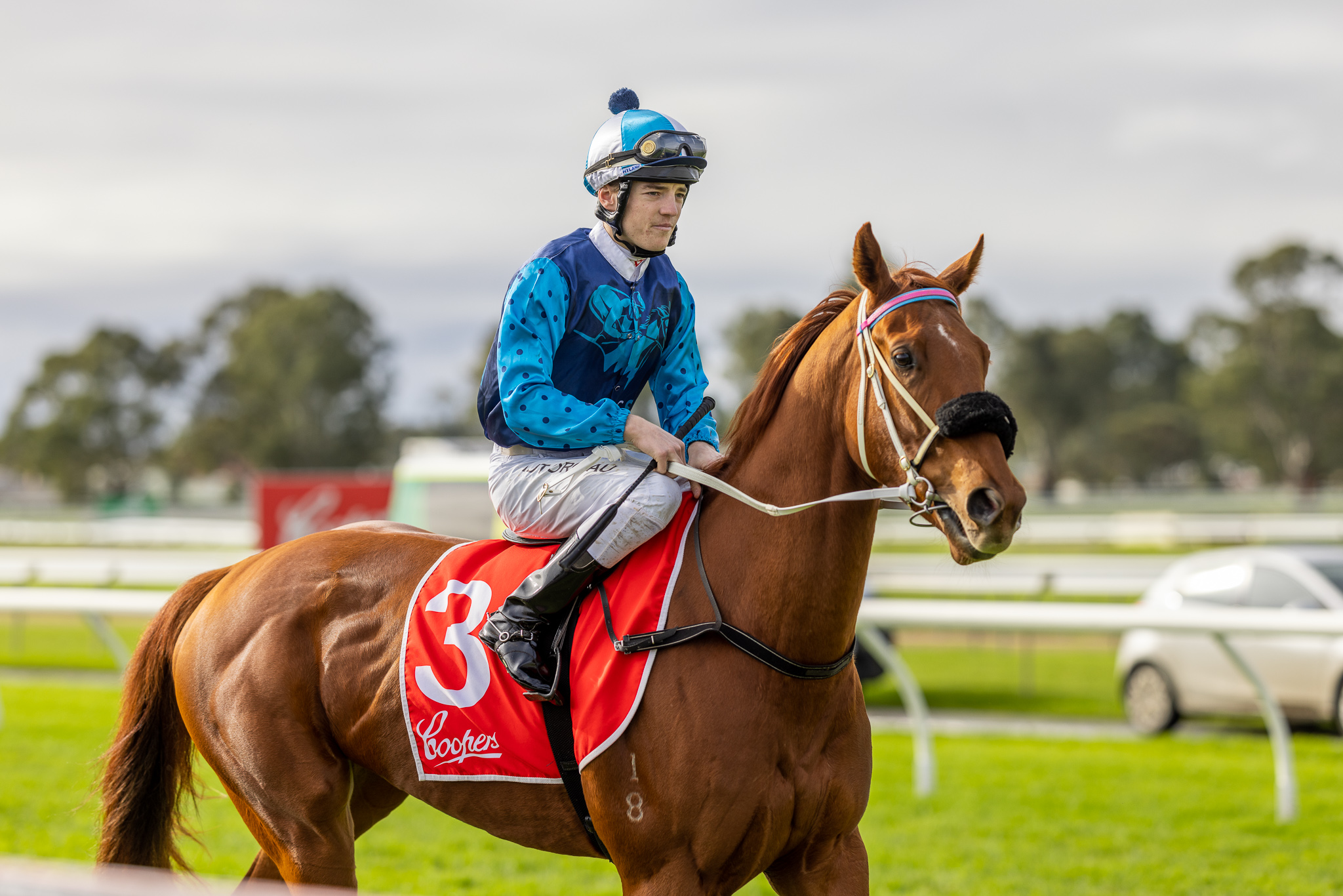 Apprentice Academy highlights: June 2022 | Country Racing SA