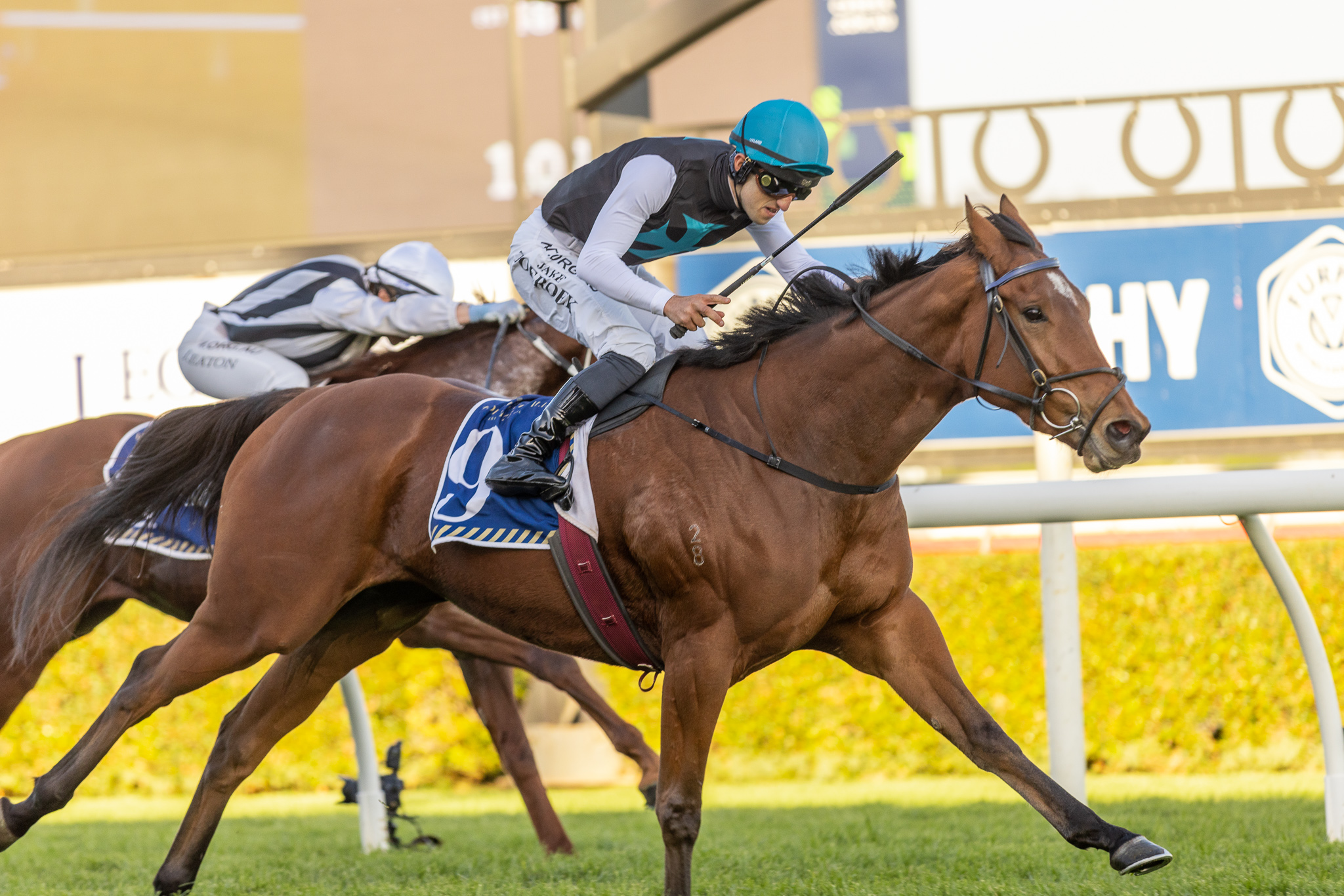 Gytrash Series in Champagne Dreams' sights | Country Racing SA