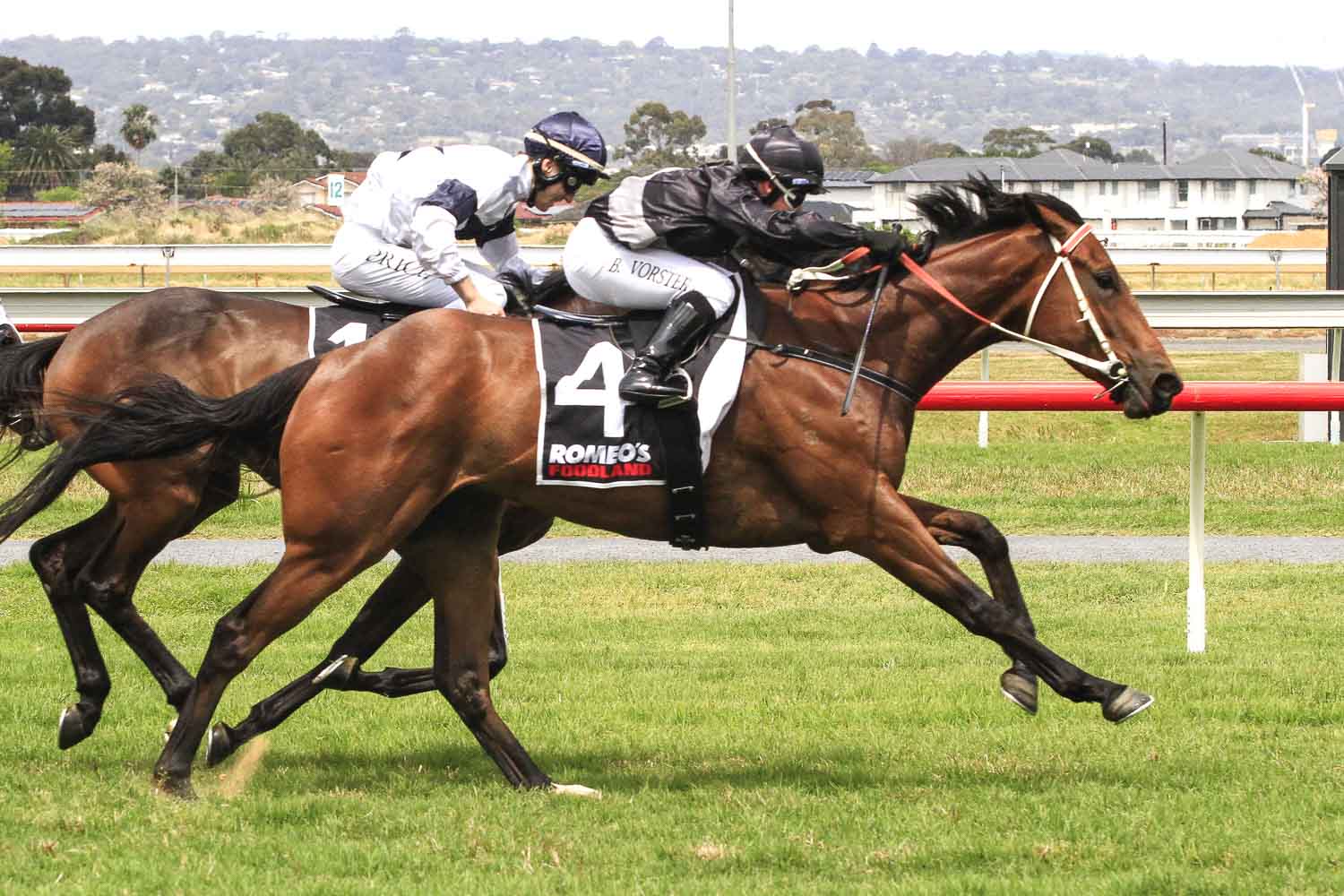 Weekend wrap: Metro success for Peter and Belinda Blanch | Country ...