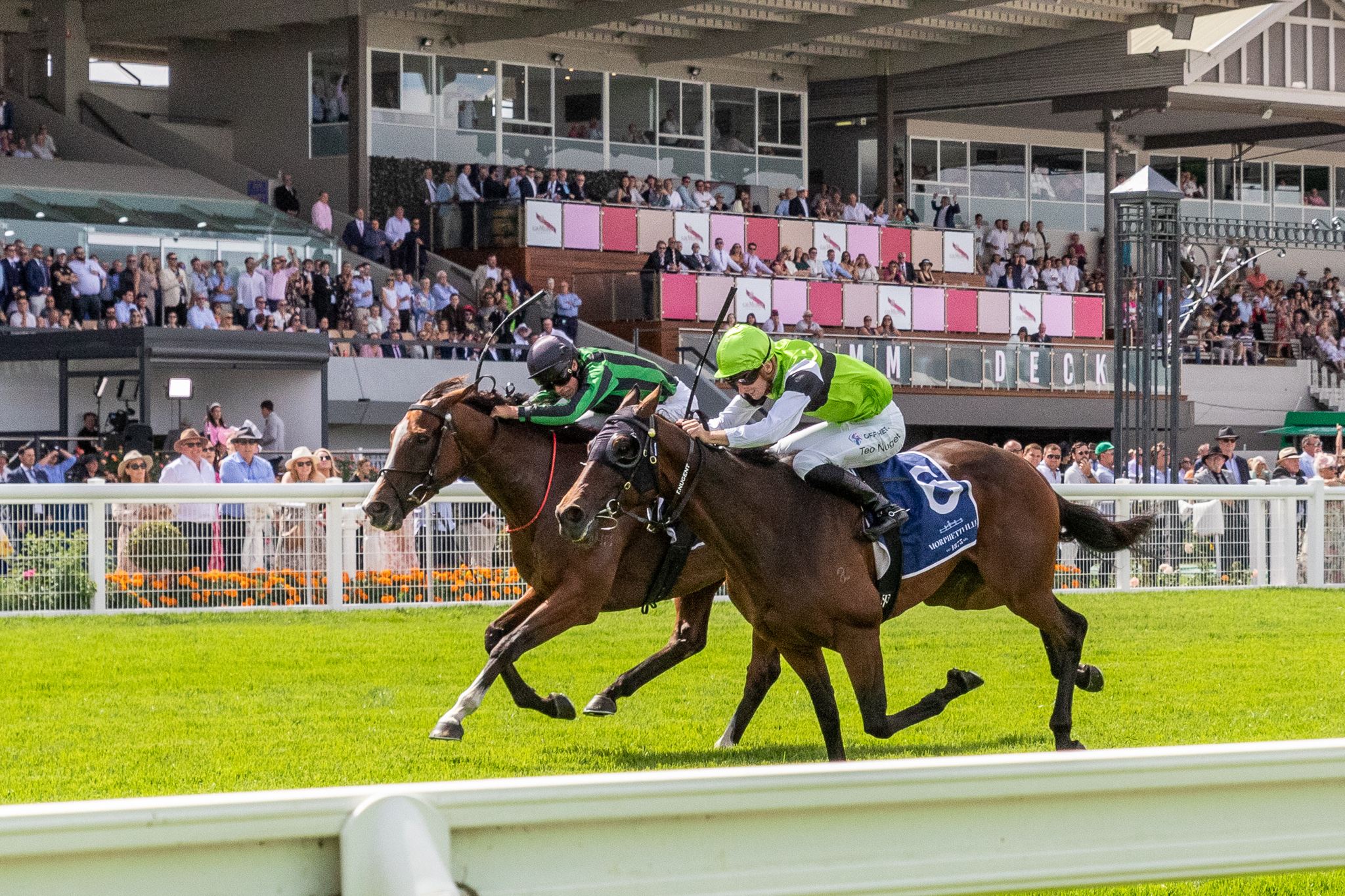 2023/24 SA race dates revealed | Country Racing SA