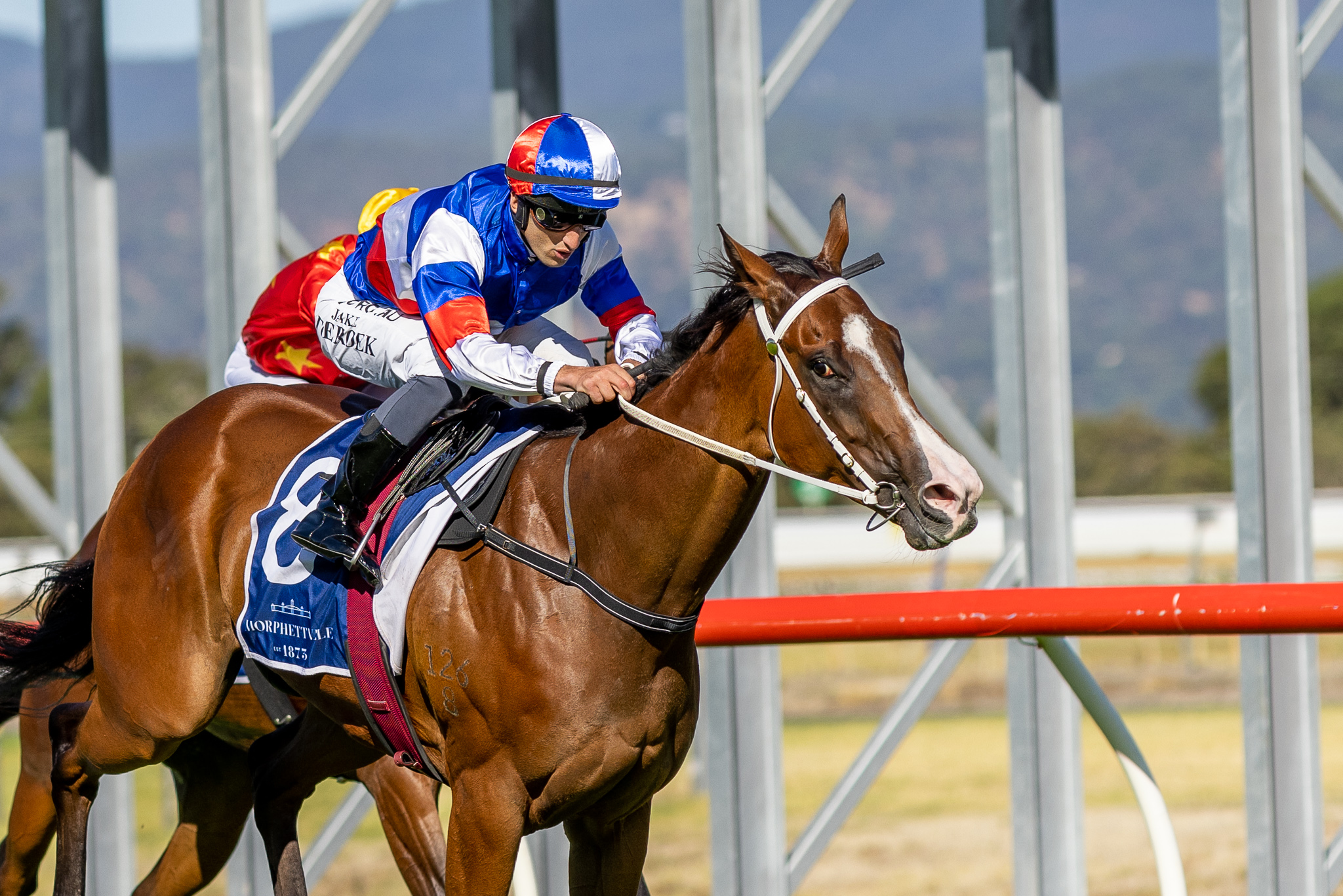 Lincoln Moore's Balaklava Preview | Country Racing SA
