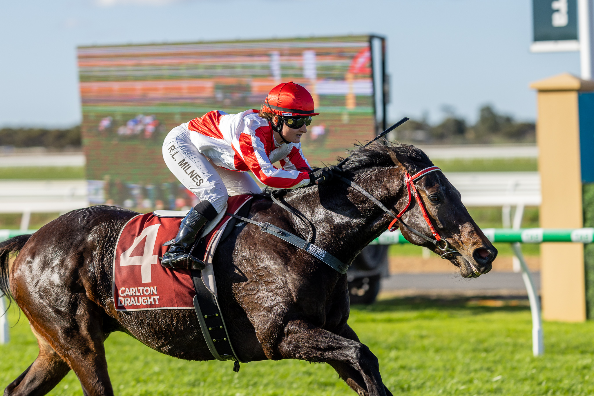 Apprentice Academy Wrap: May 2023 | Country Racing SA
