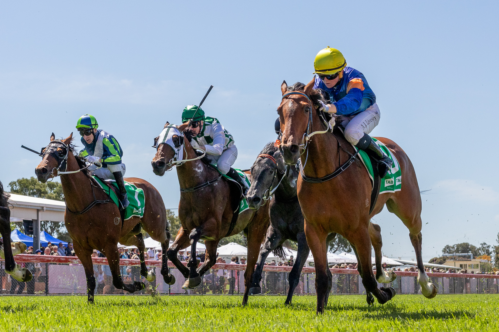 Linc Moore's Gawler Punt Preview | Country Racing SA