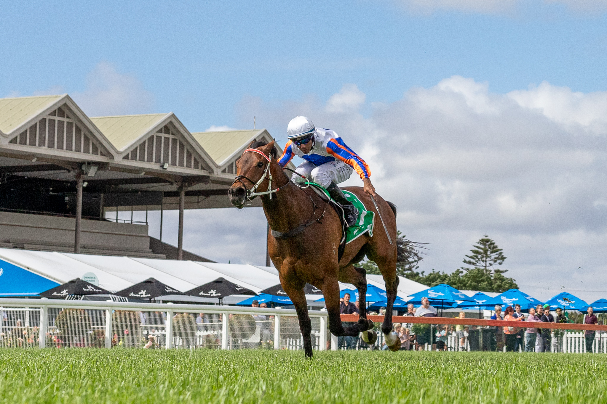 Morphettville track report and speed maps | Country Racing SA