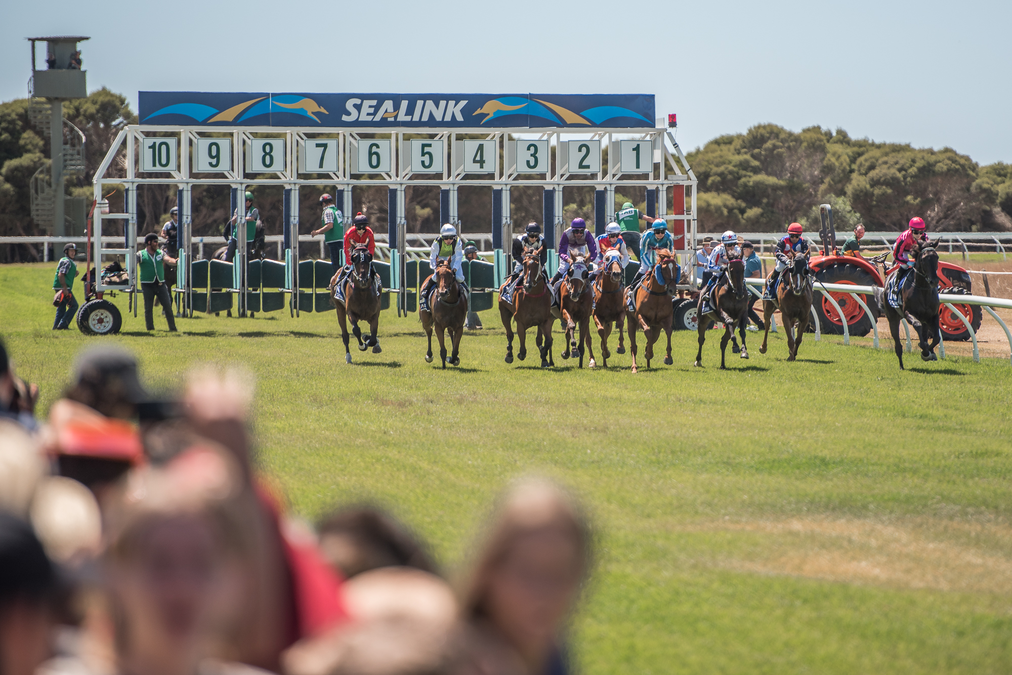 Splash Some Cash Eyeing Off Third Kangaroo Island Cup | Country Racing SA