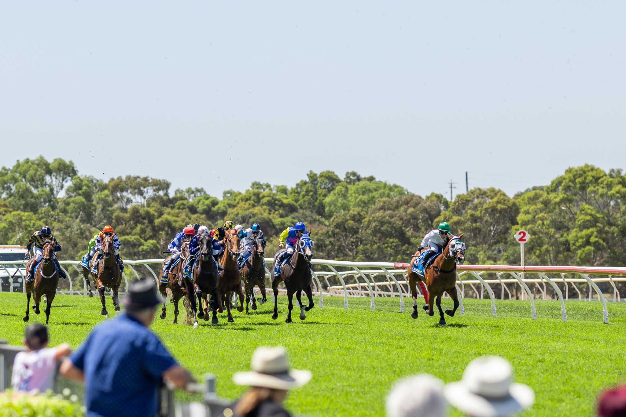 Strathalbyn Punt Preview (13/3) | Country Racing SA