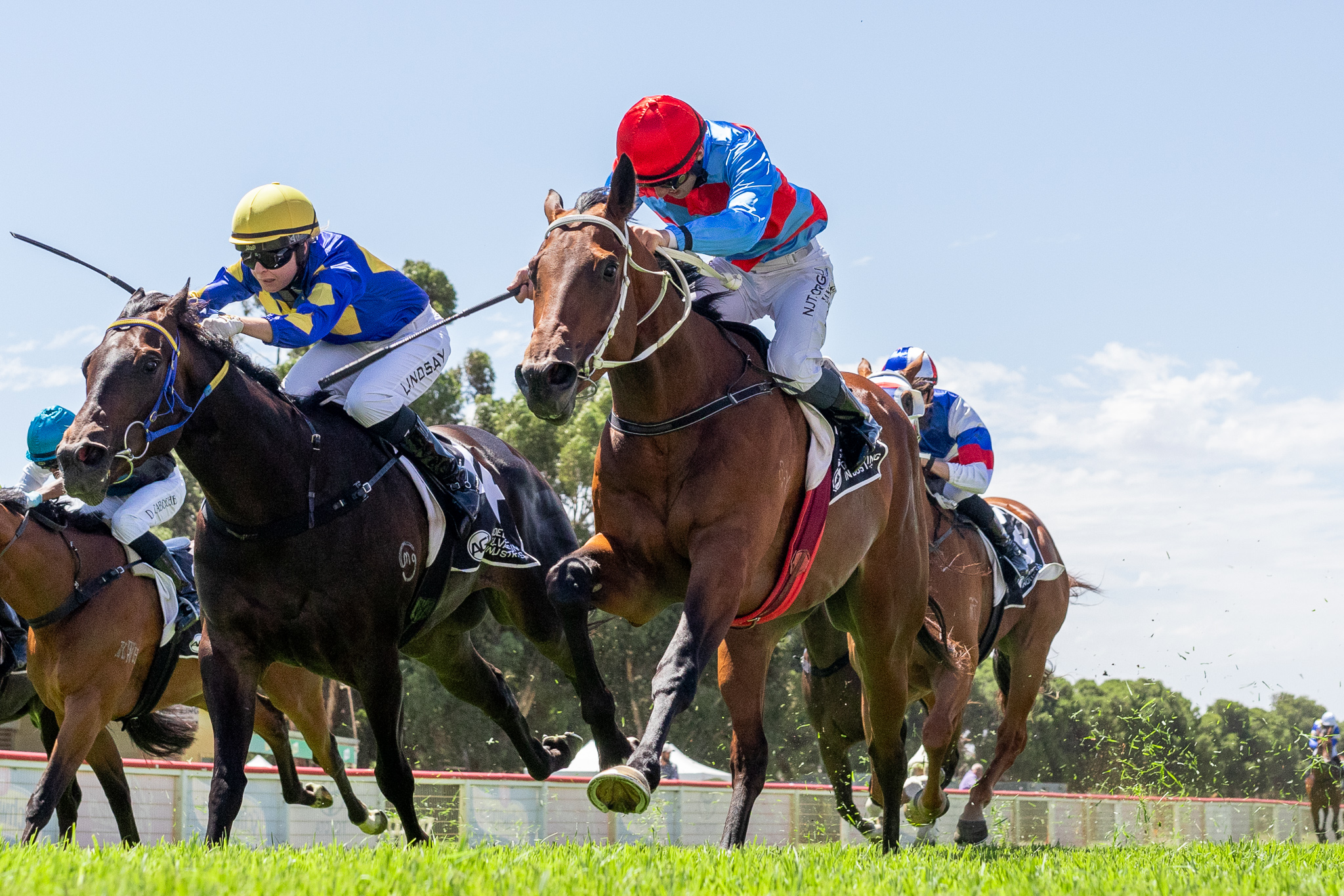Lincoln Moore's Balaklava Punt Preview (17/4) | Country Racing SA