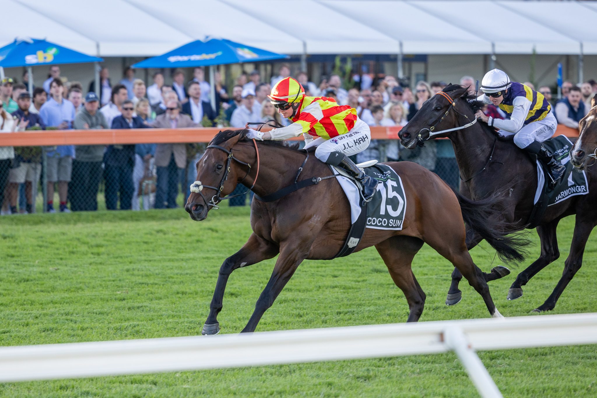 Goodwood Day Track Report & Speed Maps | Country Racing SA
