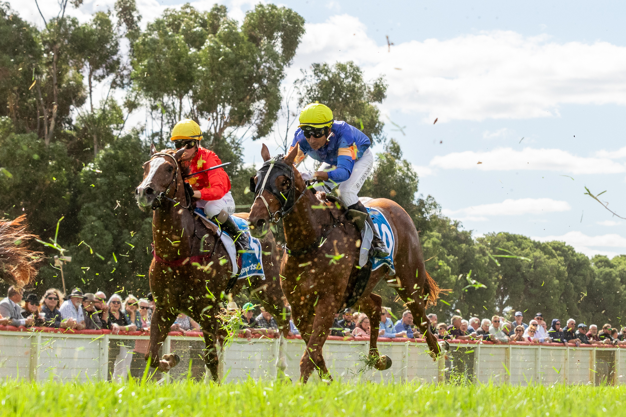 Lincoln Moore's Balaklava Punt Preview (22/5) | Country Racing SA