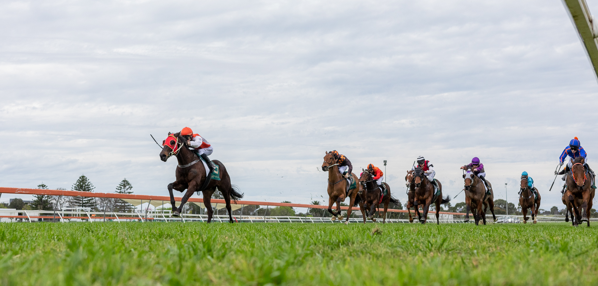 Track Surface Assessment Procedure Review | Country Racing SA