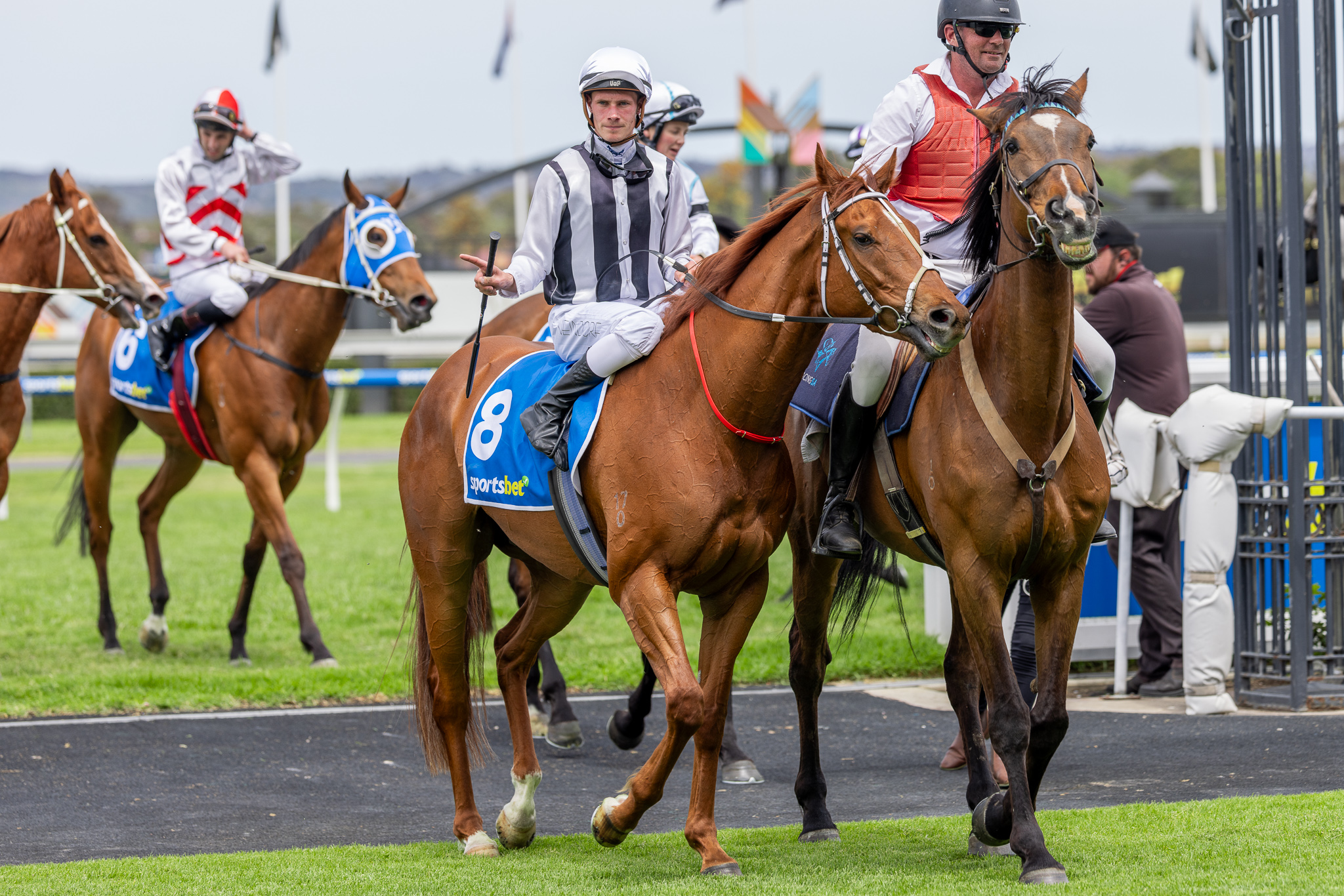 Weekend Wrap: Finals Day Shaping Up, Kayla Treble | Country Racing SA
