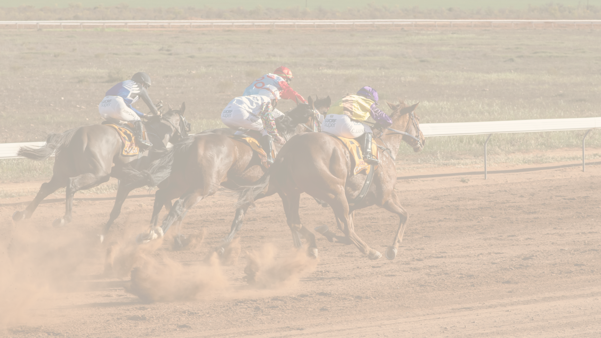 QUORN CUP PREVIEW | Country Racing SA