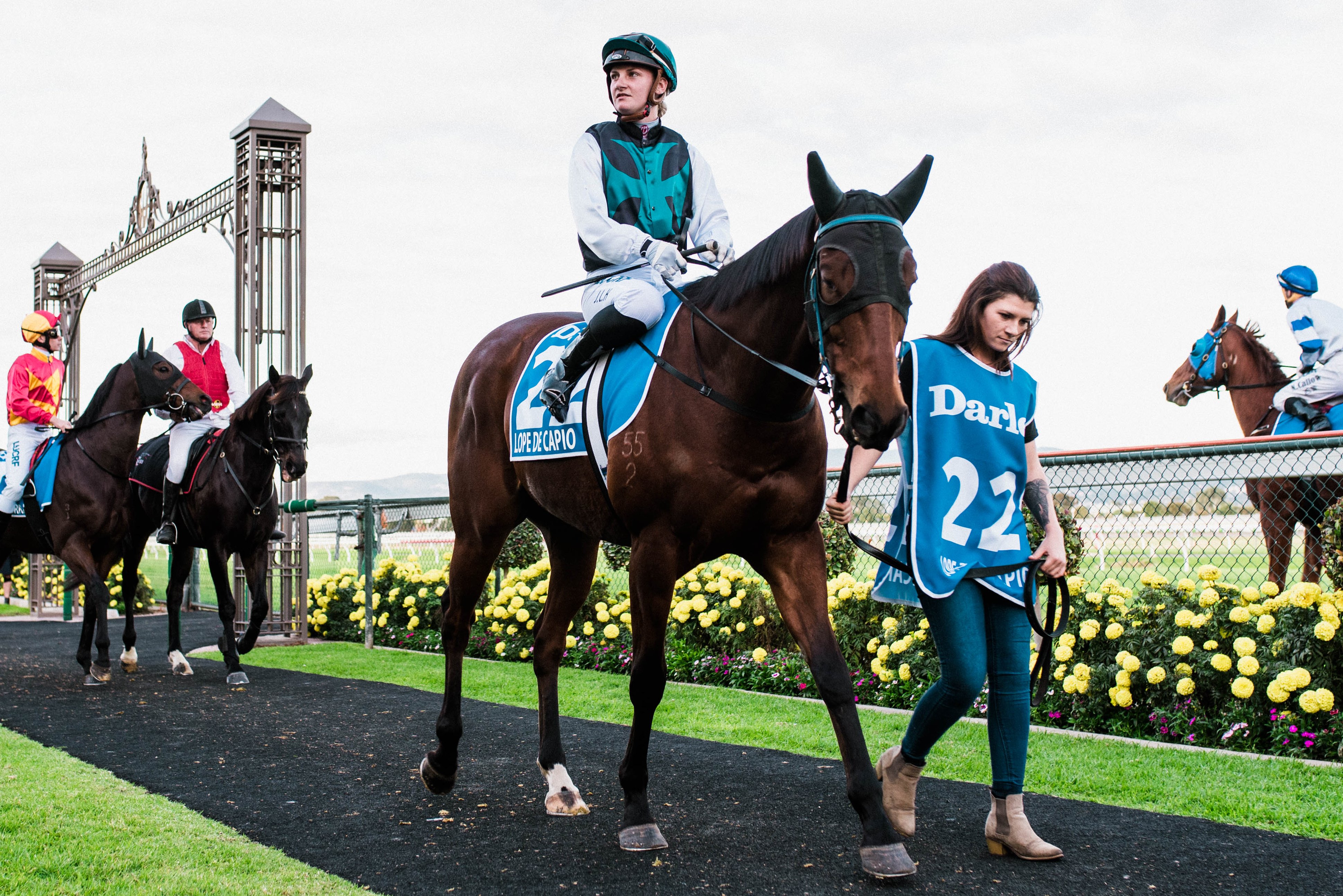 Kah speeding up riding ranks | Country Racing SA