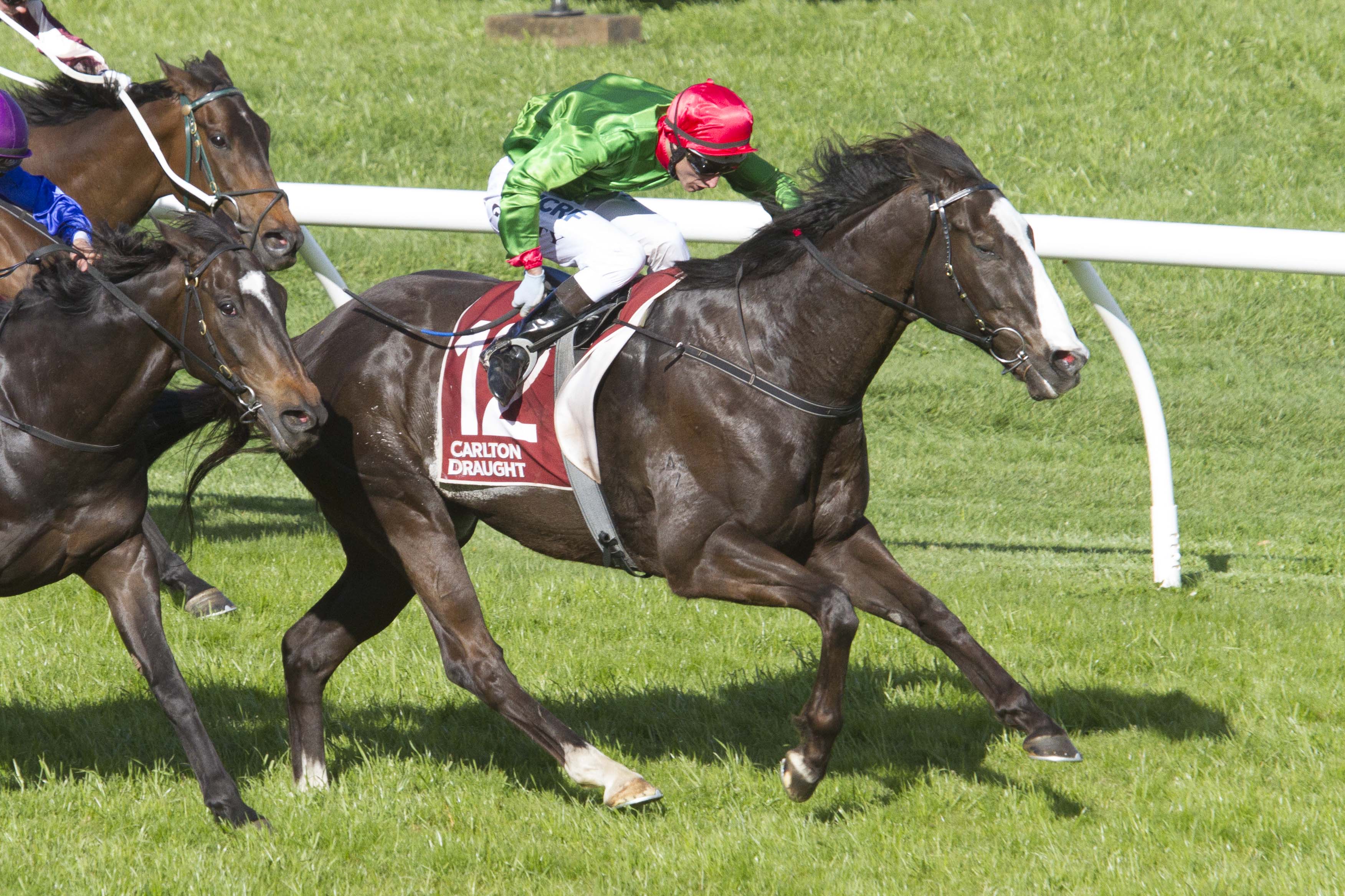 A Look at the Listed Murray Bridge Gold Cup | Country Racing SA