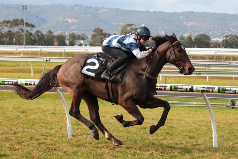 Alice Lindsay: the latest Apprentice to hit the track | Country Racing SA