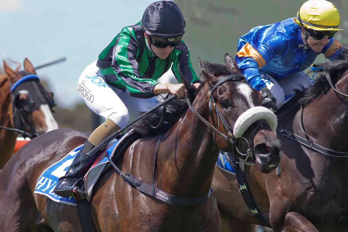 Apprentices set to represent SA | Country Racing SA