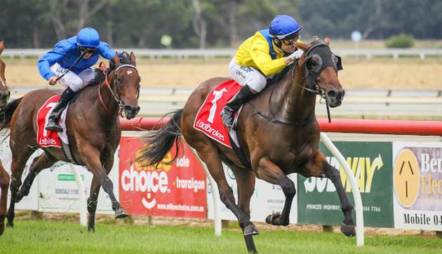 Fast Fillies: Who Wins the Dequetteville? | Country Racing SA