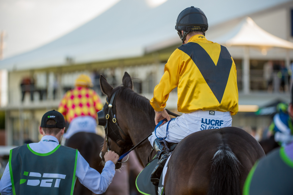 Inside Word: The Local Hopes in the Group 1 Darley Goodwood | Country ...