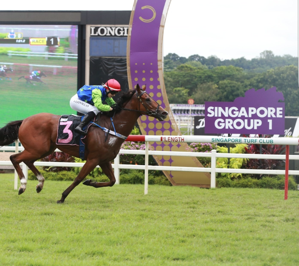 Finnegan flying in Singapore | Country Racing SA